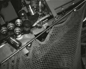 TRAINING & SUPPORT - Mega Speed